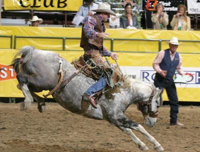 MSU rodeo: Scheer broadens his horizons | Sports ...