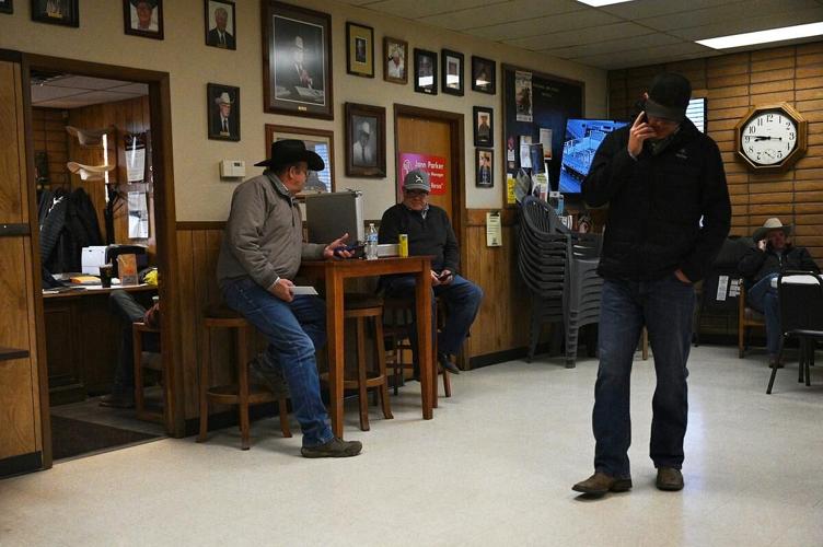 A morning at one of the state’s busiest cattle auctions | News ...