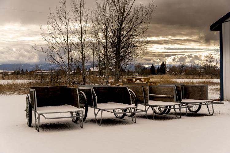 Land loss and encroachment: Can producers afford to keep farming in the ...