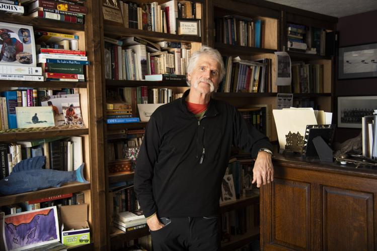 'Honest, hardworking, humble': Yellowstone National Park's lead wolf ...