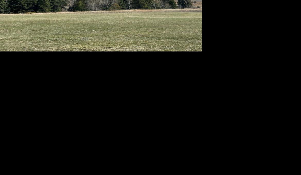 East Side Fire burns 3,000 acres south of Red Lodge as 'go now ...