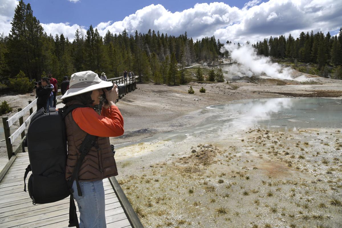 Yellowstone sets May visitation record | Yellowstone National Park ...