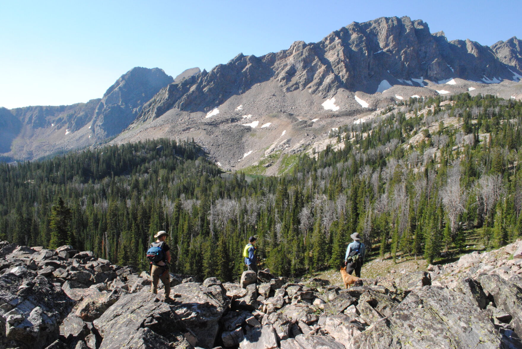 'An ambitious goal' : A journey up and down the tallest peak in the ...