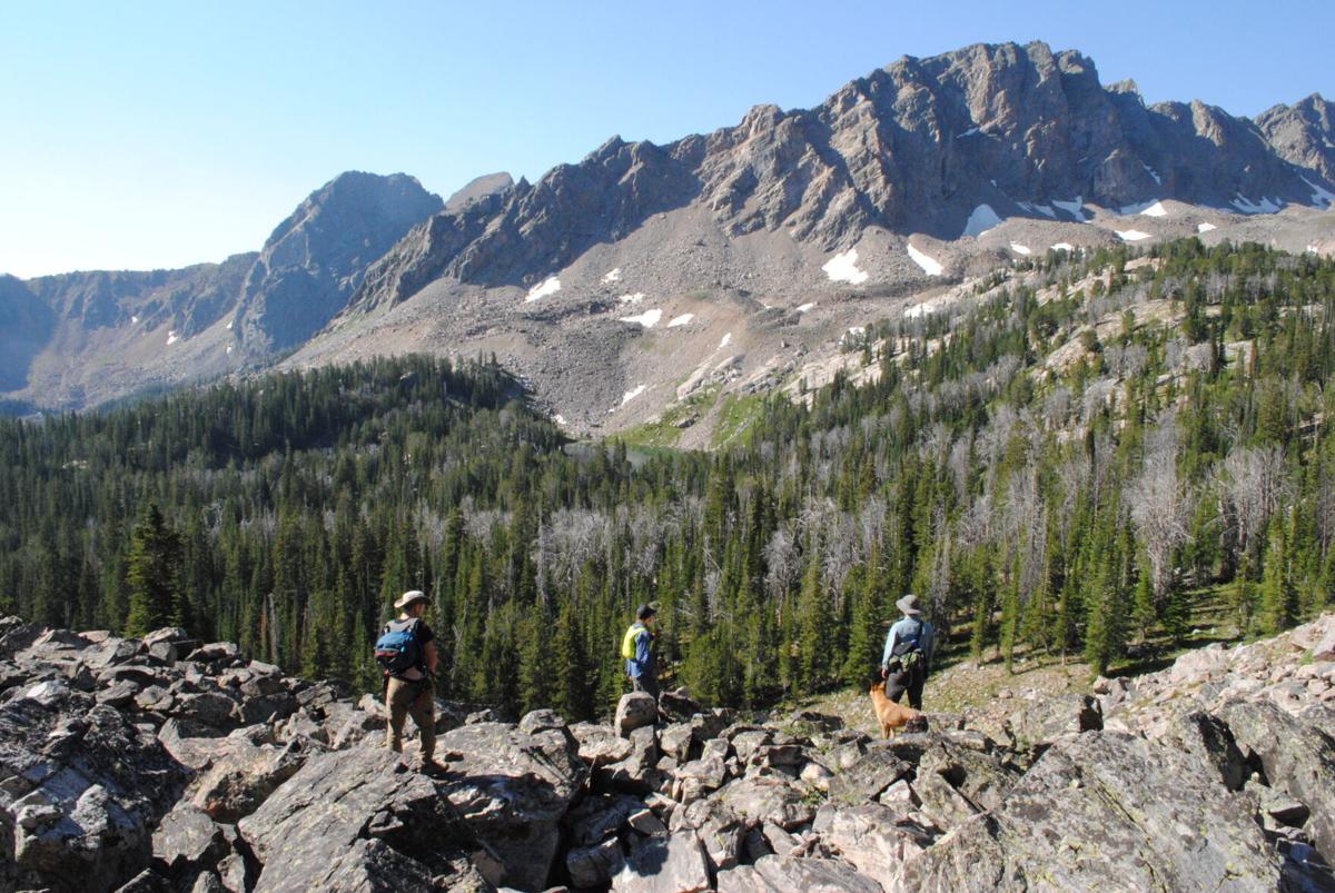 'An ambitious goal' : A journey up and down the tallest peak in the ...