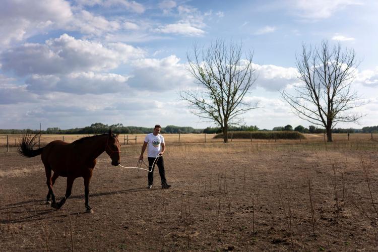 Hungary's 'water guardian' farmers fight back against desertification ...