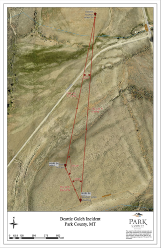 'Chaos and confusion' of Beattie Gulch bison hunt shown in federal ...