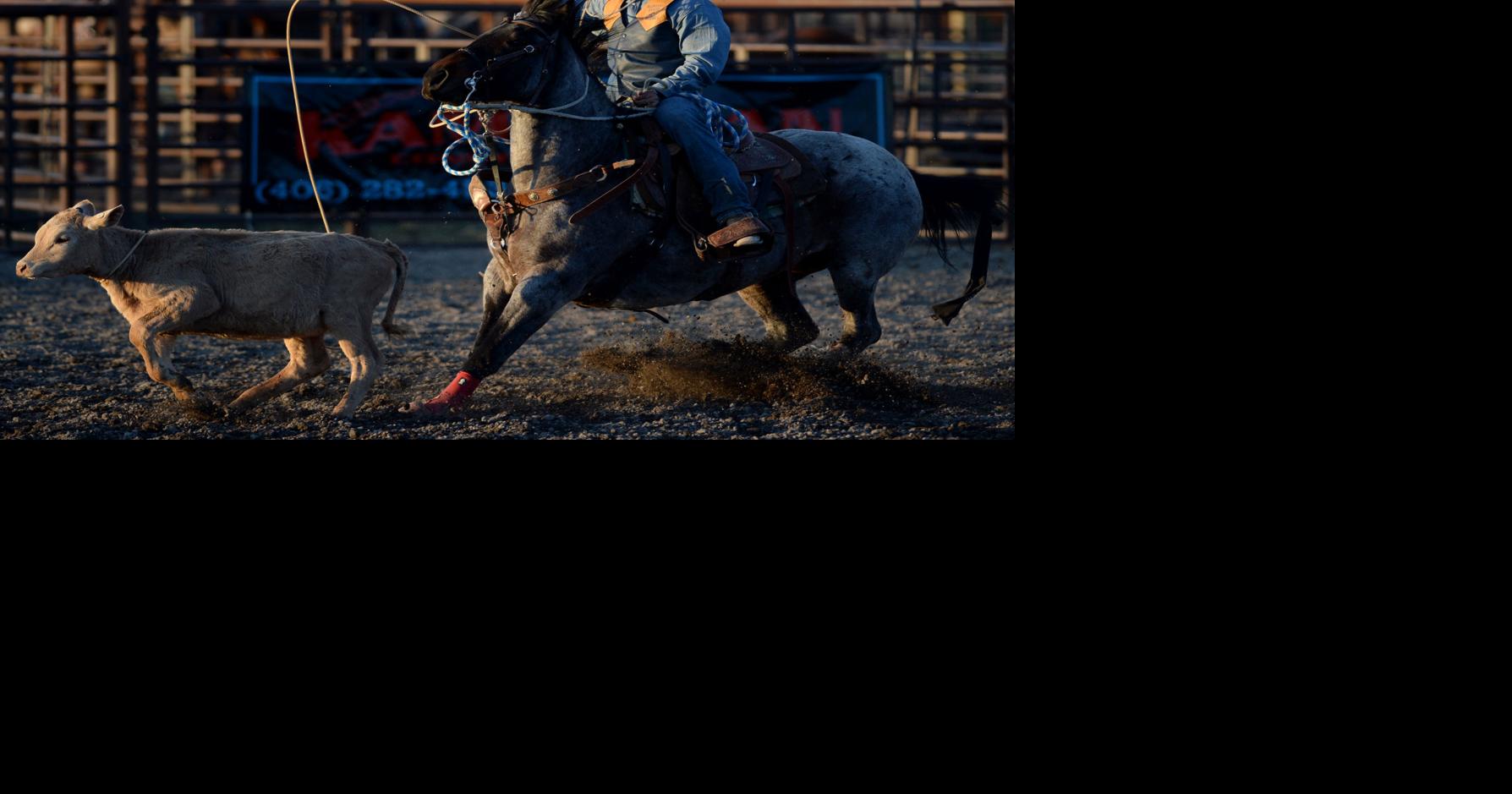 MSU Spring Rodeo, Night 2 | | bozemandailychronicle.com
