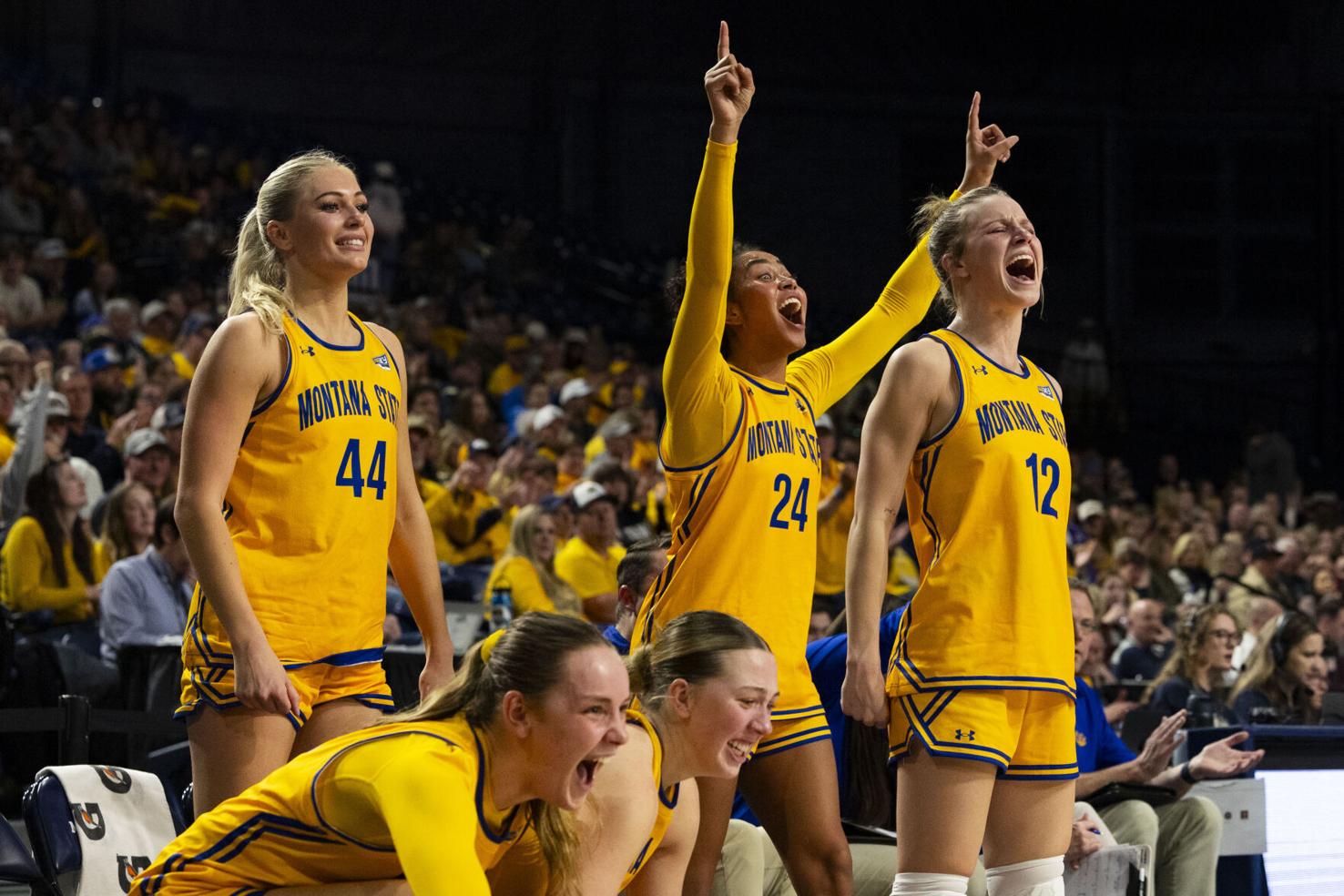 Montana State women's basketball team to continue season in WNIT, earn ...