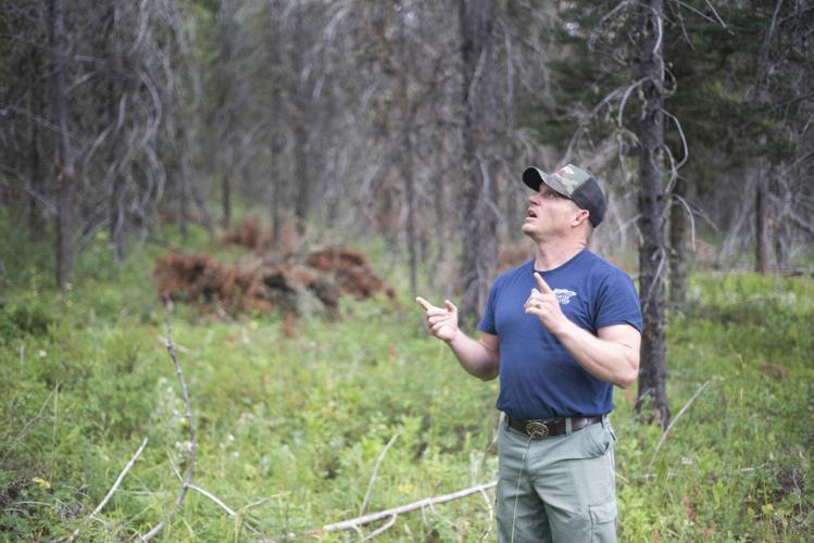 'On the ground': Crews making headway on timber project south of ...