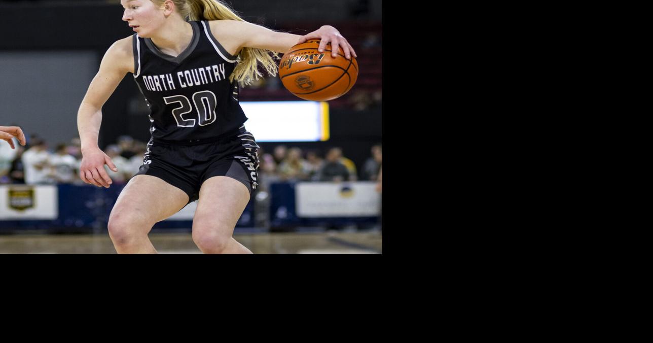 Saco's Teagan Erickson excited to play at Montana State | Bobcats Women ...