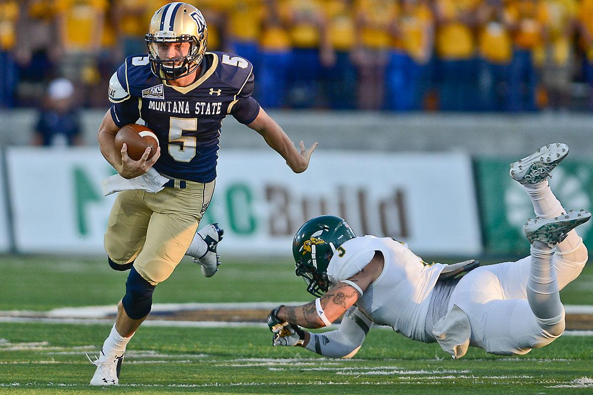 MSU vs. Black Hills State | Football | bozemandailychronicle.com