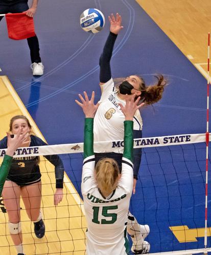 Montana State volleyball aiming to play for Big Sky championship ...