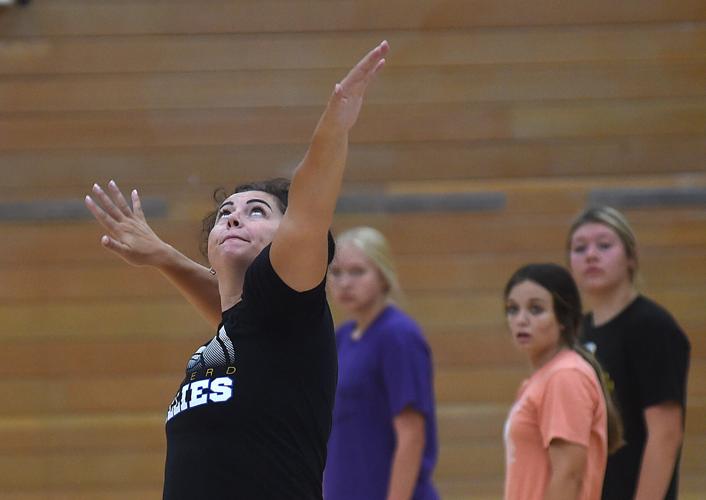 Shepherd volleyball's Kamber Kelly has coaching in her blood ...