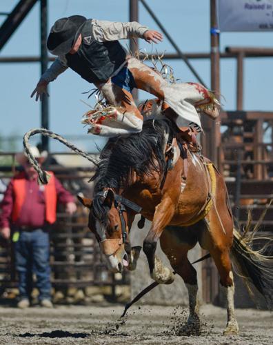 2013 State Rodeo Tournament | Sports | bozemandailychronicle.com