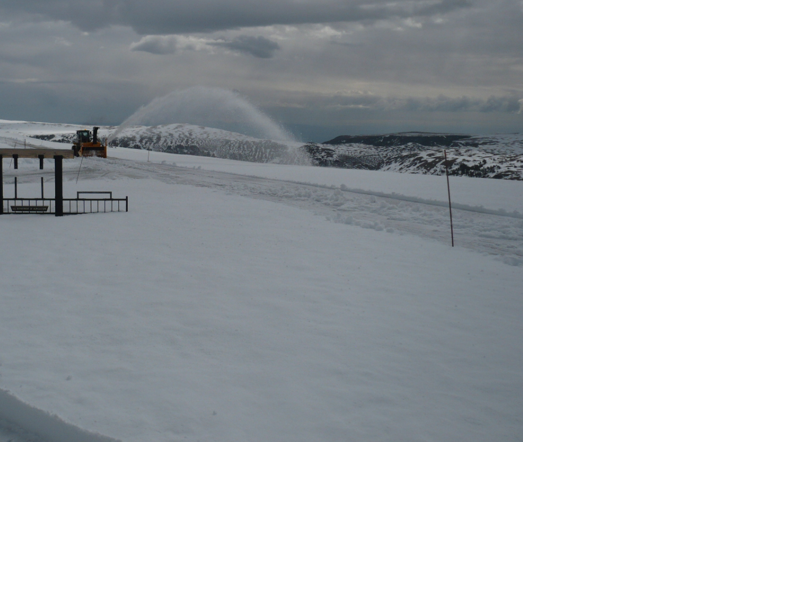 beartooth highway open