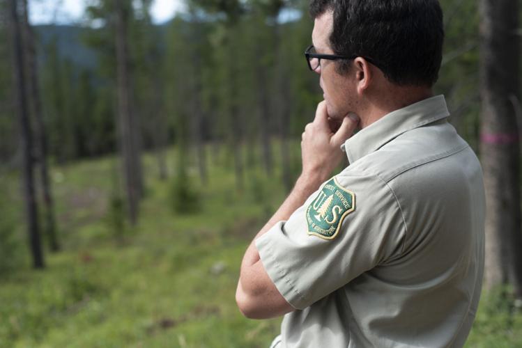 'On the ground': Crews making headway on timber project south of ...