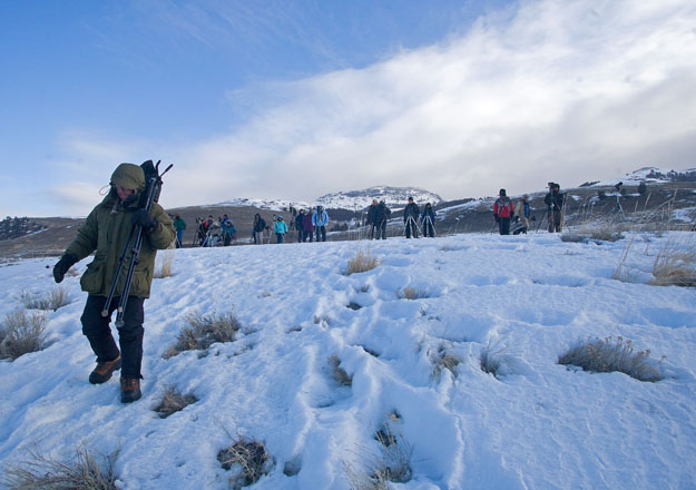 Day in the life of Doug Smith, Yellowstone wolf biologist | Special ...