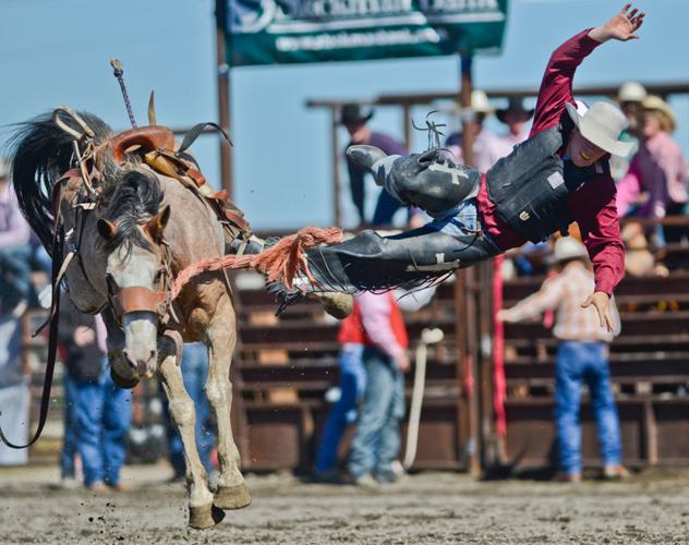 2013 State Rodeo Tournament | Sports | bozemandailychronicle.com