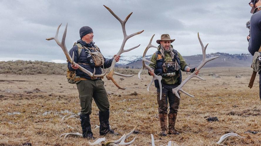 Yellowstone’s remote ‘animal boneyard’: Where elk, bison and other ...