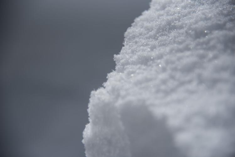 ‘Avalanche after avalanche’: A look at our snow safety experts in an ...