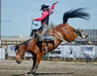 2013 State Rodeo Tournament | Sports | bozemandailychronicle.com