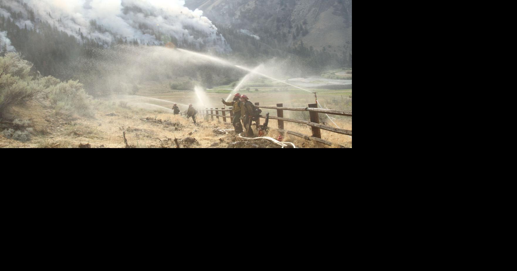 forest composition affects wildfire spread from embers | Outdoors ...