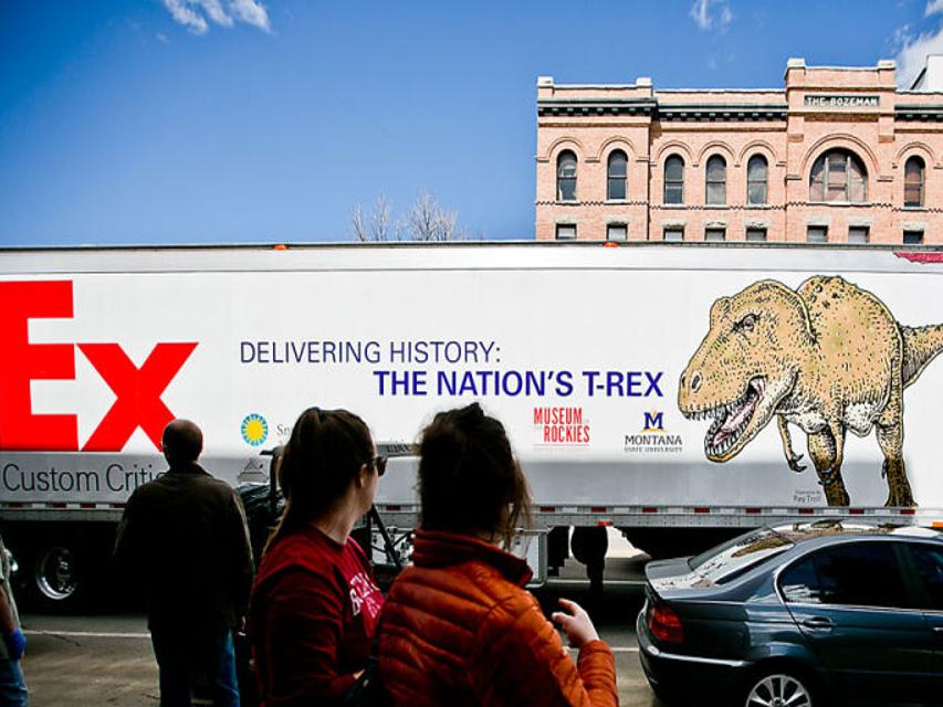 rex document customs