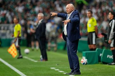 Czech Republic coach Koubek resigns after early World Cup exit | Sports ...