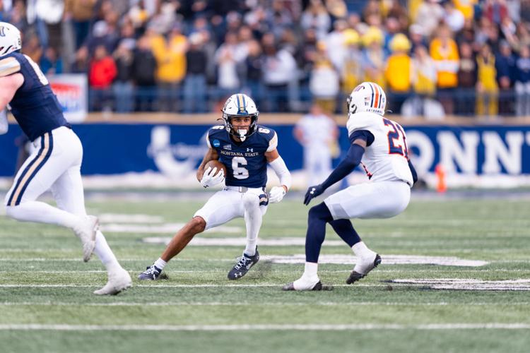 UT Martin recap | American Football | bozemandailychronicle.com