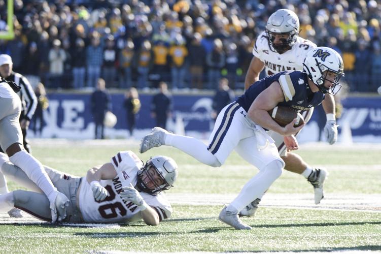 Montana State dominates rival Montana in lopsided Brawl of the Wild ...