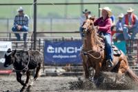 2013 State Rodeo Tournament | Sports | bozemandailychronicle.com