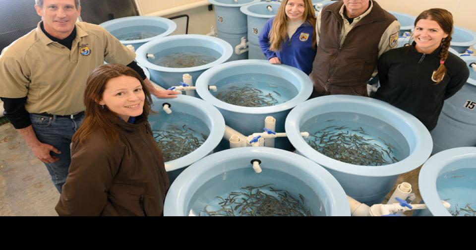 USFWS team honored with prestigious award | Wildlife ...