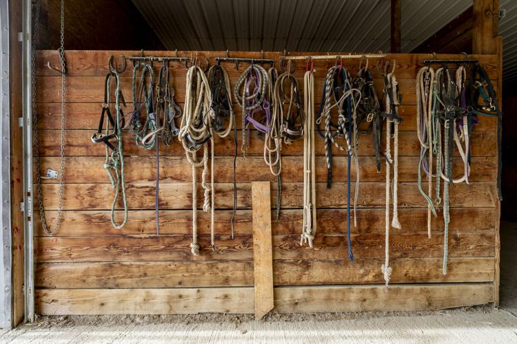 Open Spear Ranch | | bozemandailychronicle.com