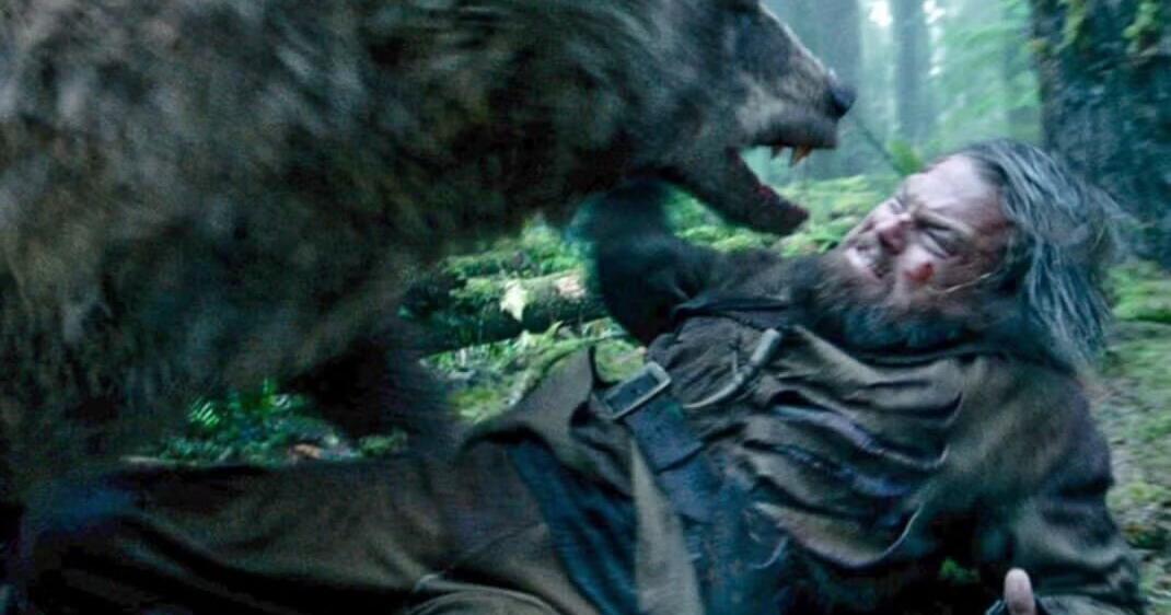 'Like a dog shakes a rat': Survivors of grizzly attacks detail close ...