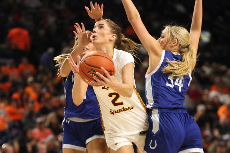 Avery O'Connor excited to tighten family ties with Bobcats | Game ...