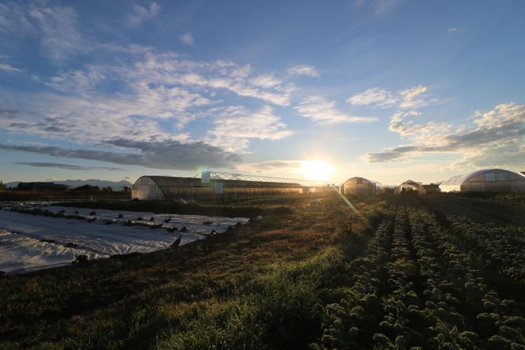 Chance Farm pursues 'closed loop' agriculture with composting group ...