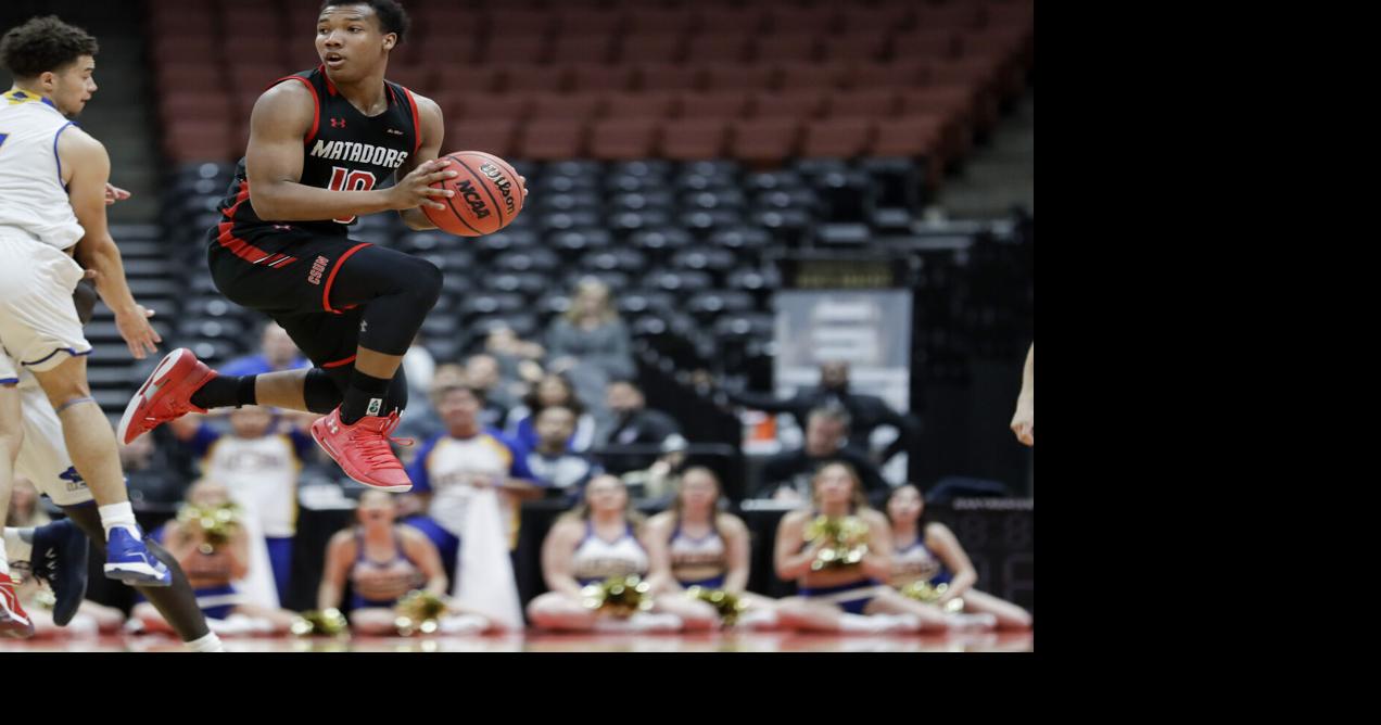 Cal State Northridge transfer Darius Brown II looks to bring 'well ...