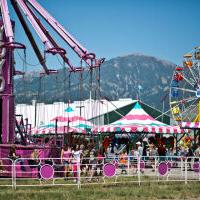 Gallatin County Fair | News | bozemandailychronicle.com