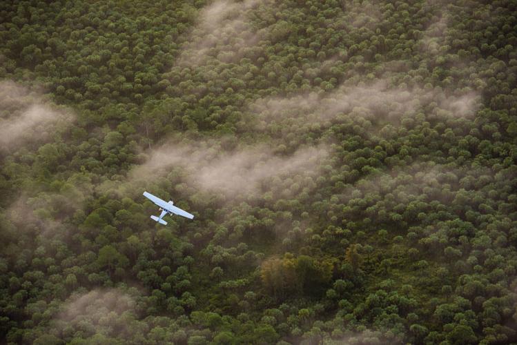 'Path of the Panther' film is a beacon of hope for conservation ...