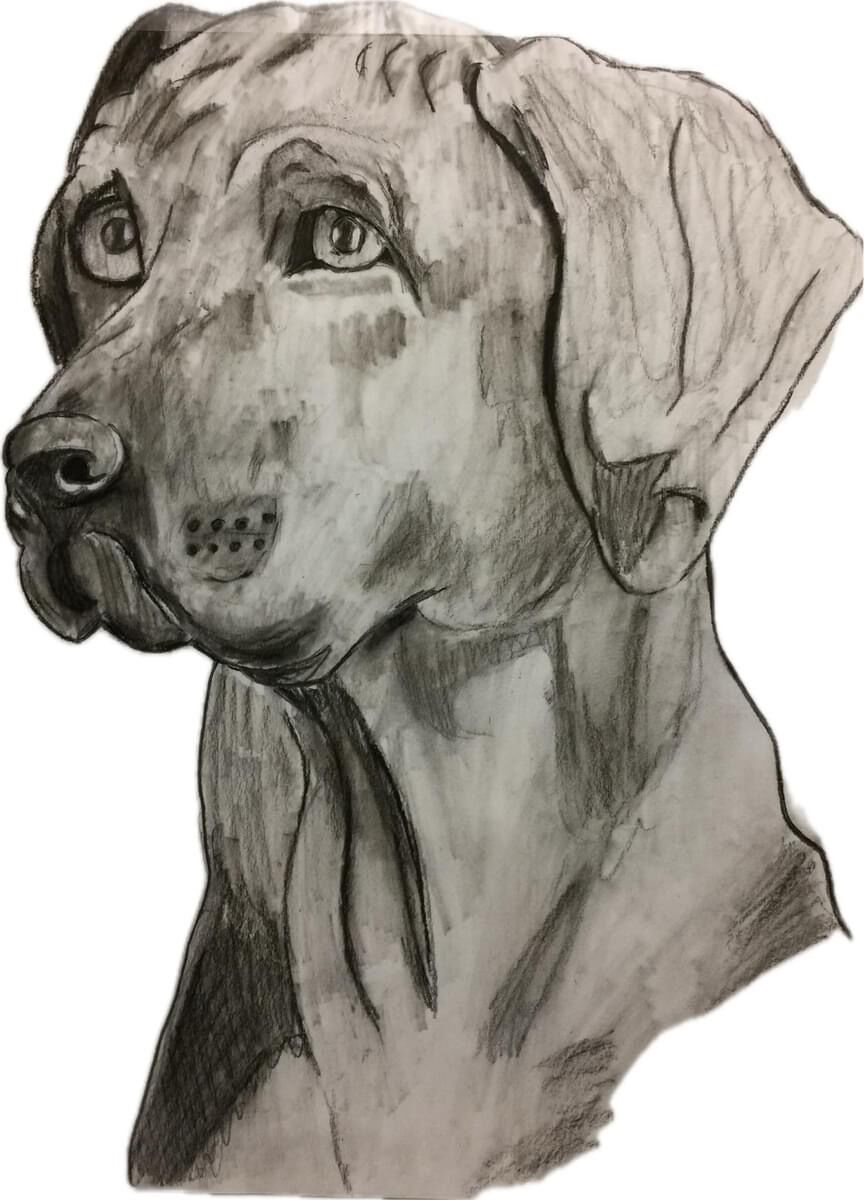 'Crazy how talented he is': Montana State WR Taco Dowler finds stress ...