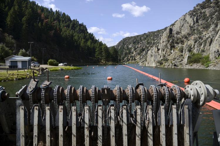 Dam operators have been pulsing Madison River flows more than ever this ...