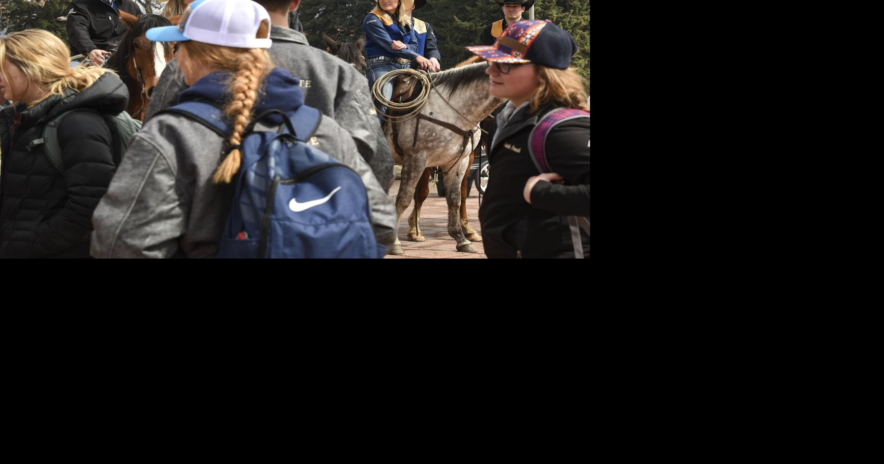 MSU Rodeo gaining popularity yearly | Bobcats | bozemandailychronicle.com