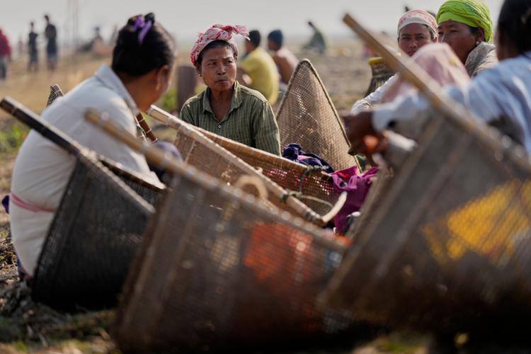 Photos of a community catch in an Indian fishing village marking the ...