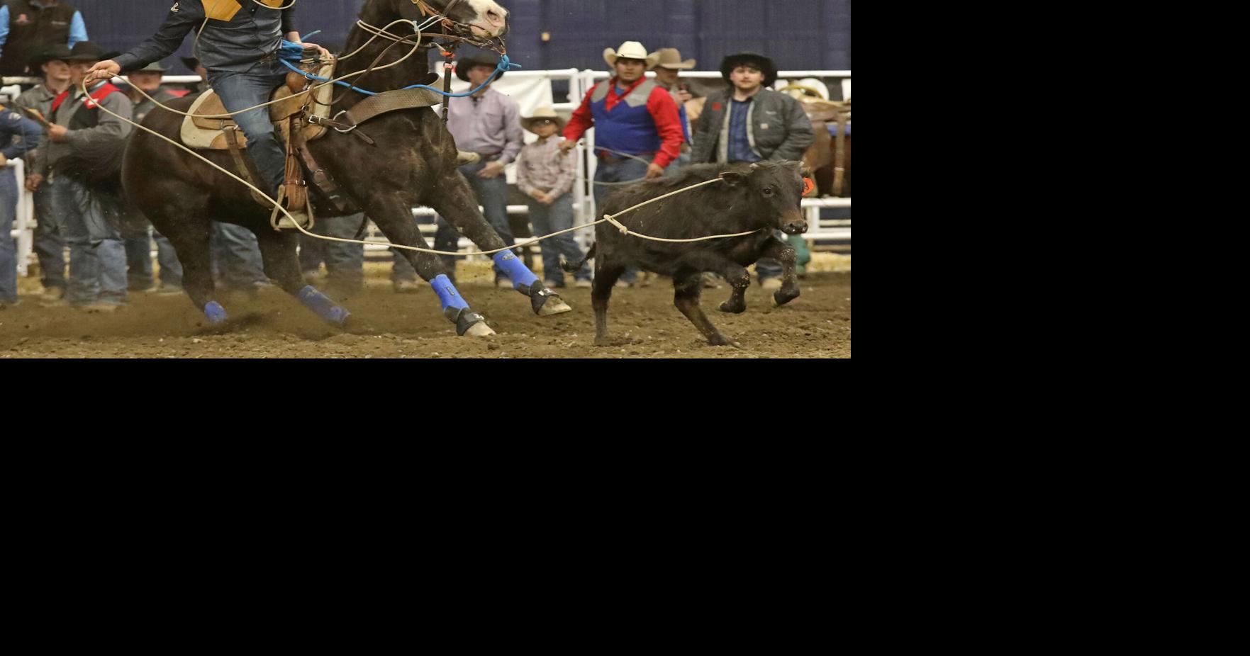 Montana State spring rodeos to be televised by MTN, CowGirl Channel ...