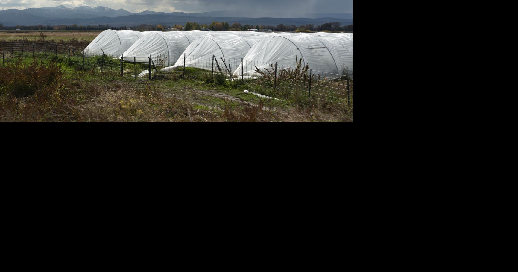 Belgrade Amaltheia Organic Dairy gets conservation easement | News ...