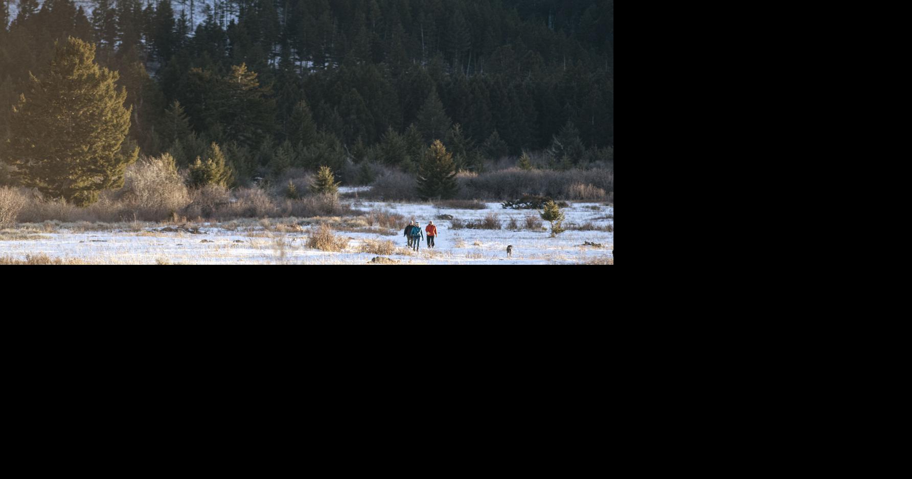 Montana officials release plan aimed at forest health, wildfire risk ...