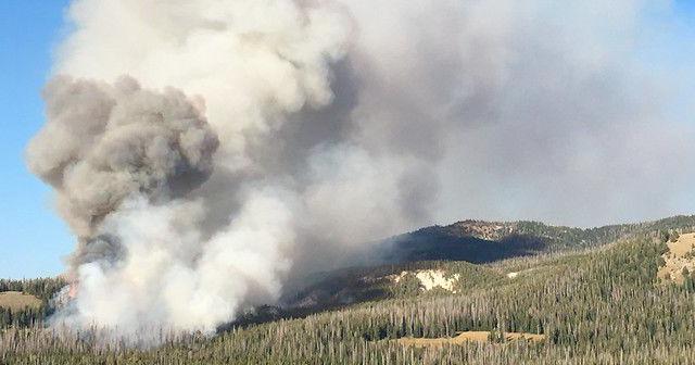Montana governor declares statewide drought emergency; fire ...