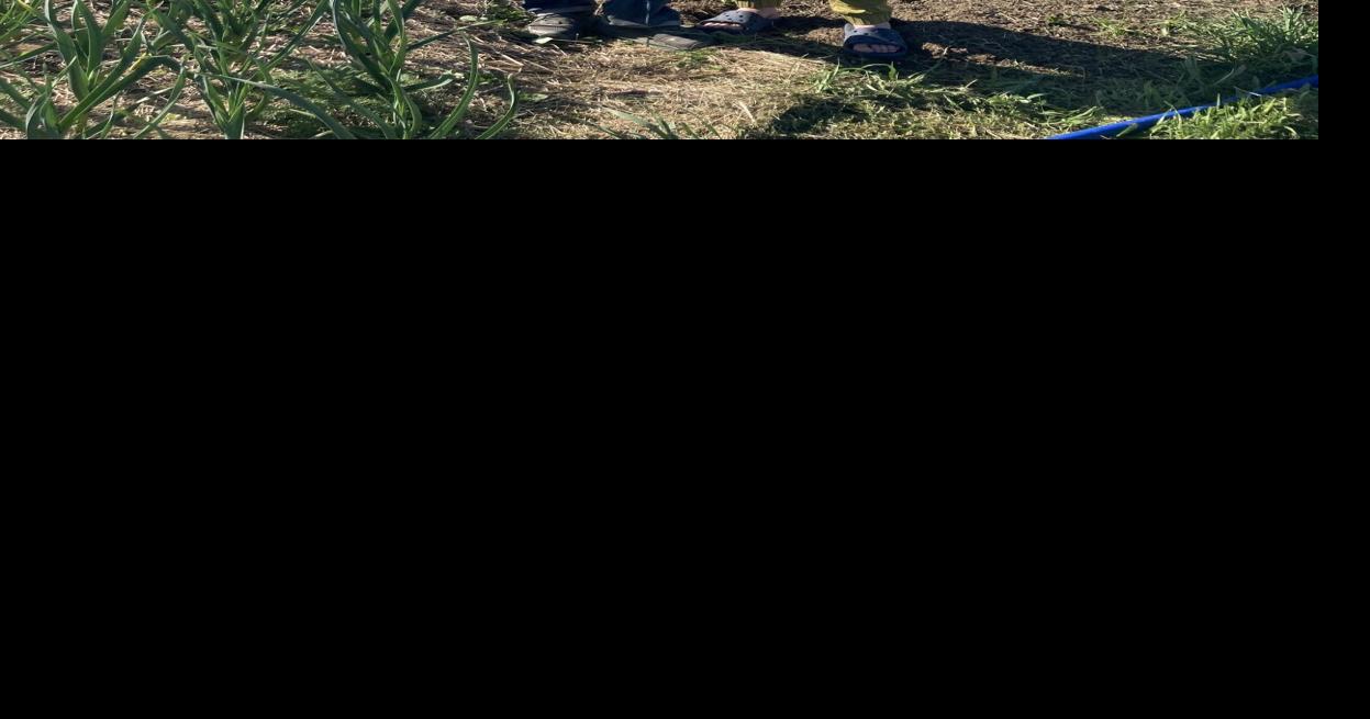 'It's so nice to be outside and put my fingers in the dirt' Laid-off miner pivots to full-time ...