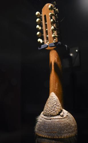 Guitar heroes – Museum of the Rockies showcases world’s most popular ...