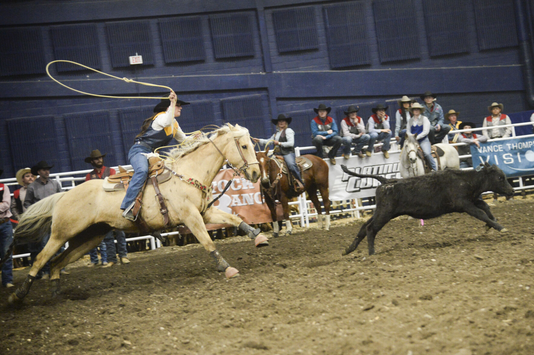 A1 tease | | bozemandailychronicle.com